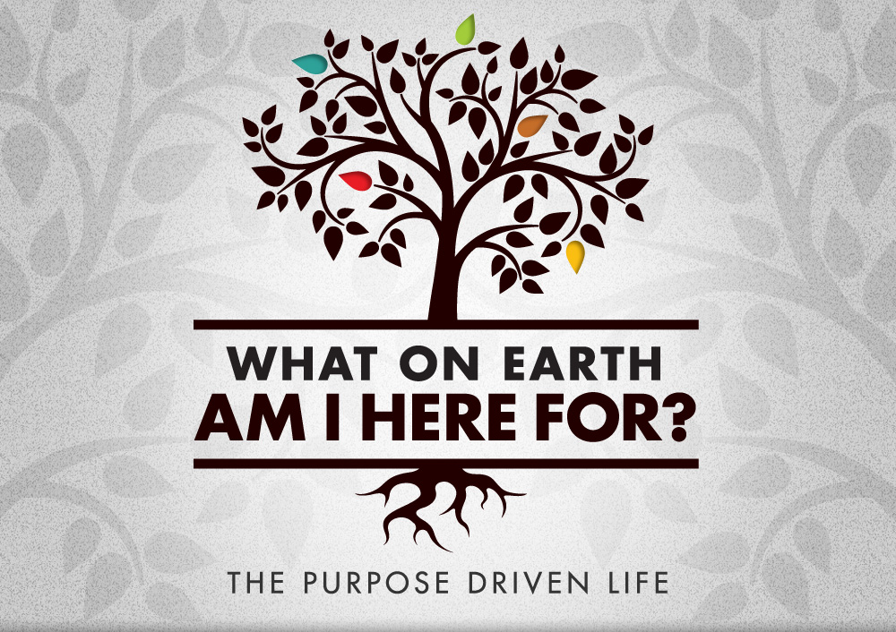 WHAT IS THE PURPOSE OF YOUR EXISTENCE? | FOOD FOR THE SOUL, MIND AND HEART